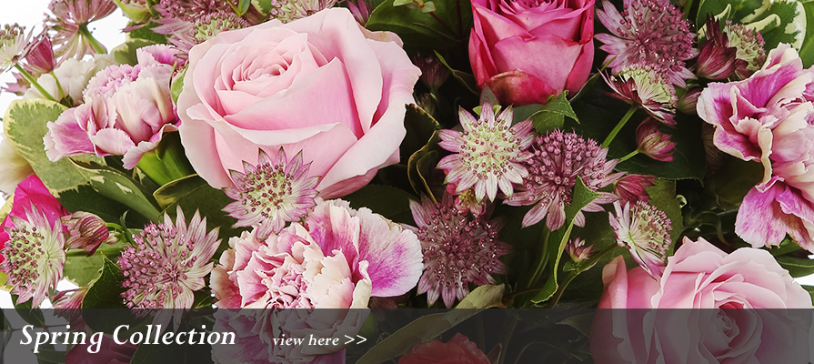 West Hampstead Florist - FREE DELIVERY to Hampstead, Cricklewood ...